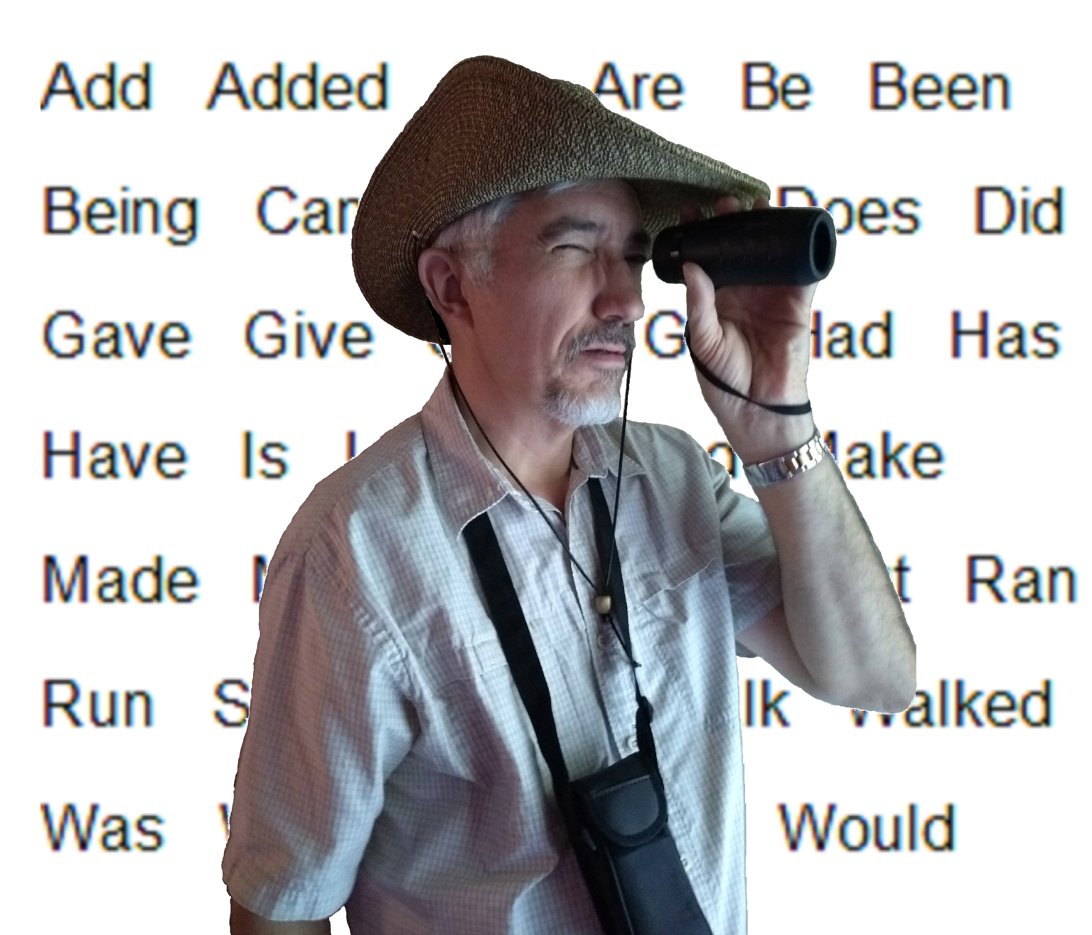 On the Hunt for Weak VerbsOn the Hunt for Weak Verbs - Steven R ...